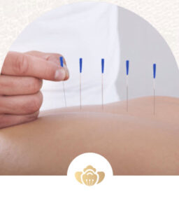 Home - Yin's Acupuncture Clinic | 972-668-2626